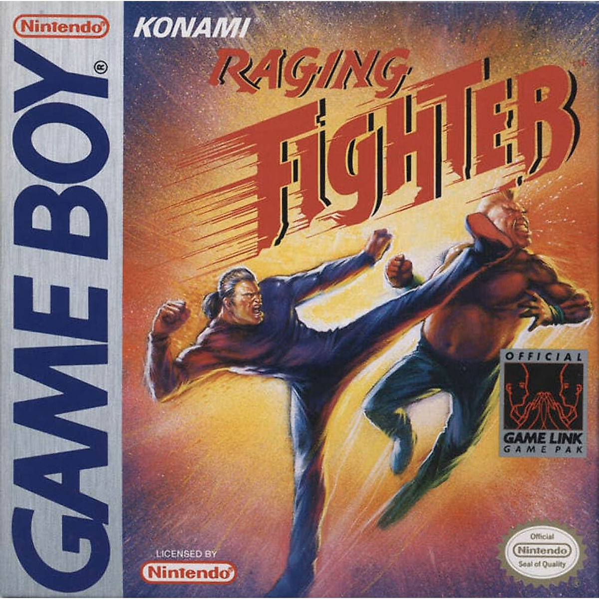 Raging Fighter