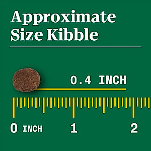 Nutro Natural Choice Adult Dry Dog Food, Lamb and Brown Rice Recipe, 36 lb. Bag