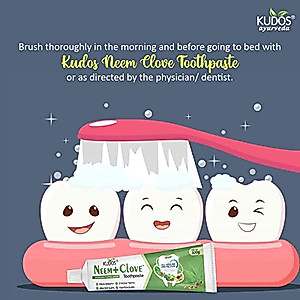 Kudos Neem + Clove Toothpaste 100g