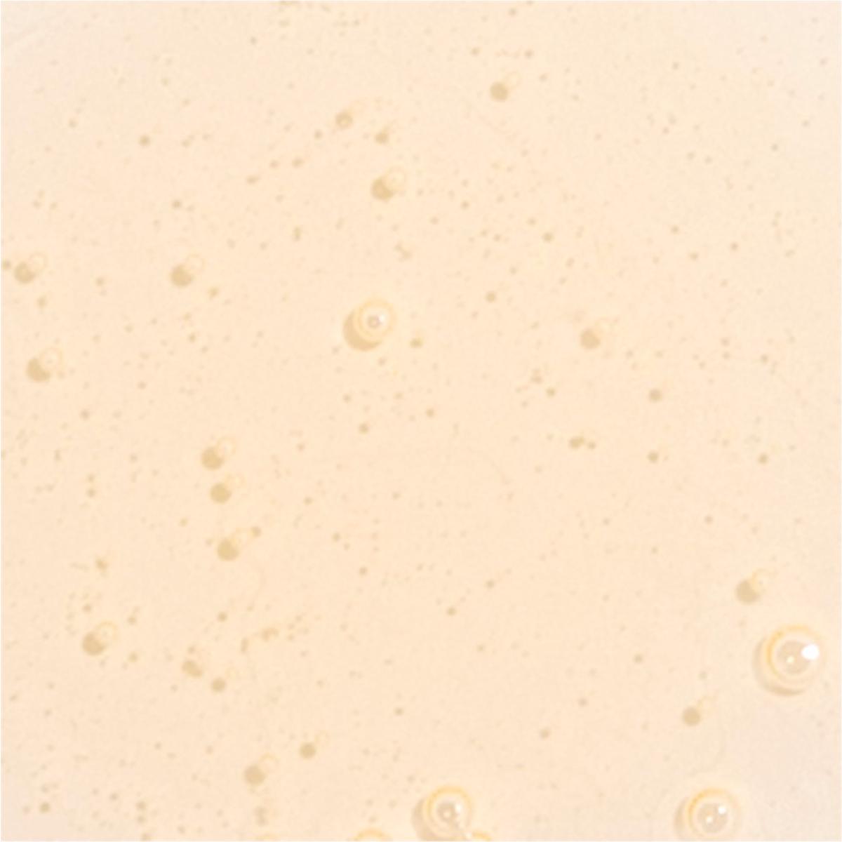 DERMA E Ultra Hydrating Lip Plumping Treatment – Advanced Lip Plumper for Enhanced Fullness and Natural Color – Lip Moisturizer with Hyaluronic Acid, Cinnamon and Jojoba Oil, 0.34 Fl Oz