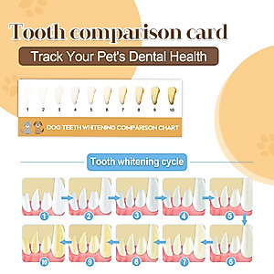VVHOMIFE Premium Pet Toothbrush Set for Cats and Dogs - Complete Oral Care with Soft Bristles - Ideal for Teeth Cleaning, Dental Hygiene, Plaque Removal - Veterinarian Recommended-White