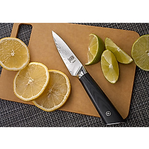 Mercer Culinary M13791 Premium Grade Super Steel, 3.5-Inch Paring Knife, G10 Handle