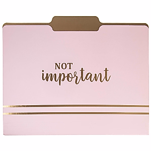 Graphique Designer “Very Important” File Folders | Set of 9 (3 Designs) | Letter Size Organizers | Decorative Office Supplies | Durable Coated Cardstock | Gold Foil Lettering | 1/3-Cut Tabs,Leopard