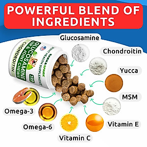 Allergy Relief + Glucosamine Dog Treats Bundle - Joint Pain Relief + Itchy Skin Relief - Omega 3 + Pumpkin, Enzymes + Chondroitin, MSM - Hip & Joint Care + Seasonal Allergies - 240 Chews - Made in USA