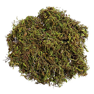 Garneck Artificial Fake Moss Lifelike Green Moss for Potted Plants Home Garden Patio Crafts Centerpieces Decor