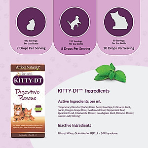 AMBER NATURALZ Kitty-DT Digestive Rescue Herbal Supplement for Cats | Feline Herbal Supplement for Occasional Upset and Digestive Support | 1 Fluid Ounce Glass Bottle | Manufactured in The USA