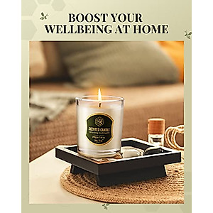 Veda Tinda Scent Vanilla Scented Candles Gift for Women, Beeswax Candles for Home Scented, Strong Scented Candle Keep Your Home Smell Heavenly, 7.4oz Over 55 Hours