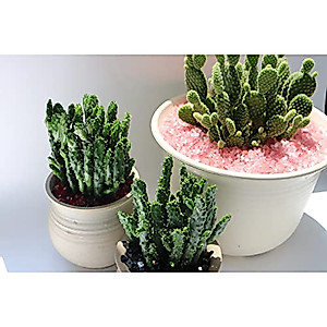 Bairdish Pink vitreous Block Colourful Glitter Sprinkles 2-4mm Crushed Glass Artificial gems Blunt Permanent Non-Fading Non-Toxic Cement Casting Resin Mold Filler(100g)