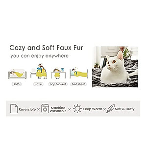 Citrasena Food Flannel Fleece Super Soft Cozy Blanket Cabbage Lightweight Warm Throw Blanket for Couch Living Room Bed Sofa Travel 40"x30" for Pet