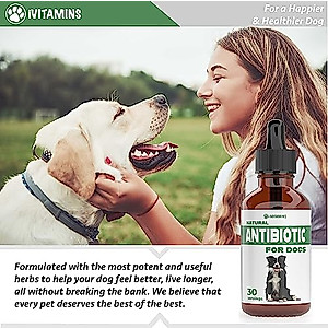 Dog Antibiotics - Antibiotics for Dogs - Antibiotic for Dog - Yeast Infection Treatment for Dogs - Dog Yeast Infection Treatment - Dog Ear Infection Treatment Antibiotic - Bacon Flavored (1 Pack)