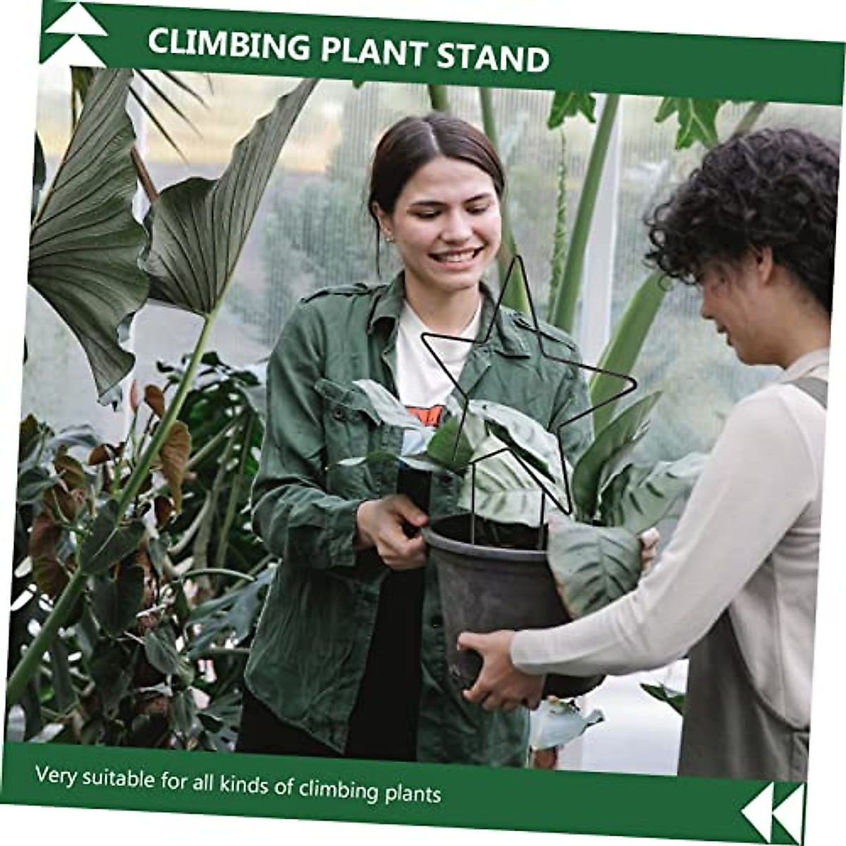 COHEALI 2pcs Flower Arrangement Roses Plants Tomato Plants Flowers Plants Flowers Trellis Climbing Plant Support Plant Support Ring Flower Support Rack Plant Stem Support Iron Trellis Vine