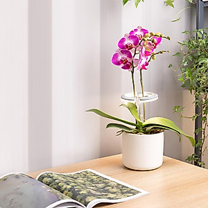 NOUKOW LED Plant Grow Lights for Orchid 10W Full Spectrum Plant Light with Auto ON & Off Timer 8/12/16H, 5 Dimmable Brightness, Height Adjustable Small Grow Lights for Indoor Plants