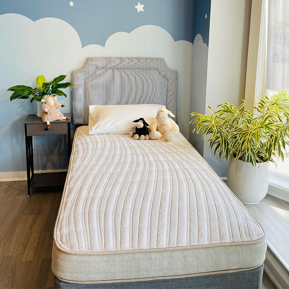 Ethical Mattress CO 6" Kid’s Mattress, Toxin-Free, Made in The USA with Organic Cotton, Wool, Latex & Pocketed Coils (Mattress-in-a-Box); Perfect for bunk beds, trundles & Platform beds - Twin Size