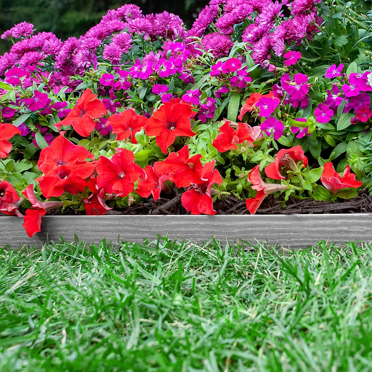 EasyFlex Tall Wall No-Dig Landscape Edging with Anchoring Spikes, 2.5 in. Tall Straight Top Plastic Garden Border with Woodgrain Texture, 40 Foot Kit, Gray (3220GYE-40C)