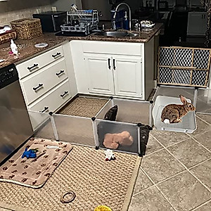 MUYG Guinea Pig Litter Box Corner Bunny Toilet Small Animal Potty Training with Dustpan Broom Chew Toys for Chinchilla Ferret Hedgehog Gerbil (10 Pcs)