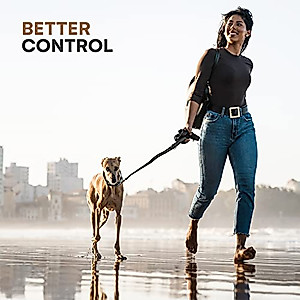 Black Rhino Dog Leash - Heavy Duty - Medium & Large Dogs | 6ft Long Leashes | Two Traffic Padded Comfort Handles for Safety Control Training - Double Handle Reflective Lead - (Black)