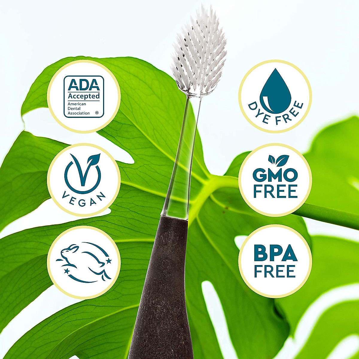 RADIUS Toothbrush Source Floss Brush BPA Free & ADA Accepted Improve Gum Health & Reduce Gum Issues - Medium - Cornstarch/ Wood/Money - Pack of 3