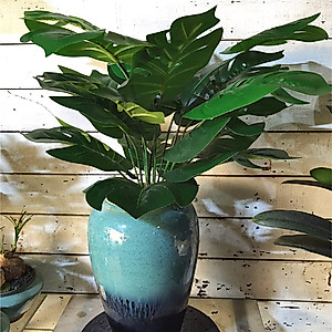 Artificial Tropical Plant turtleback Leaf (Green 18 Stems Leaves) Artificial Plant for Home Garden Office Store Decoration