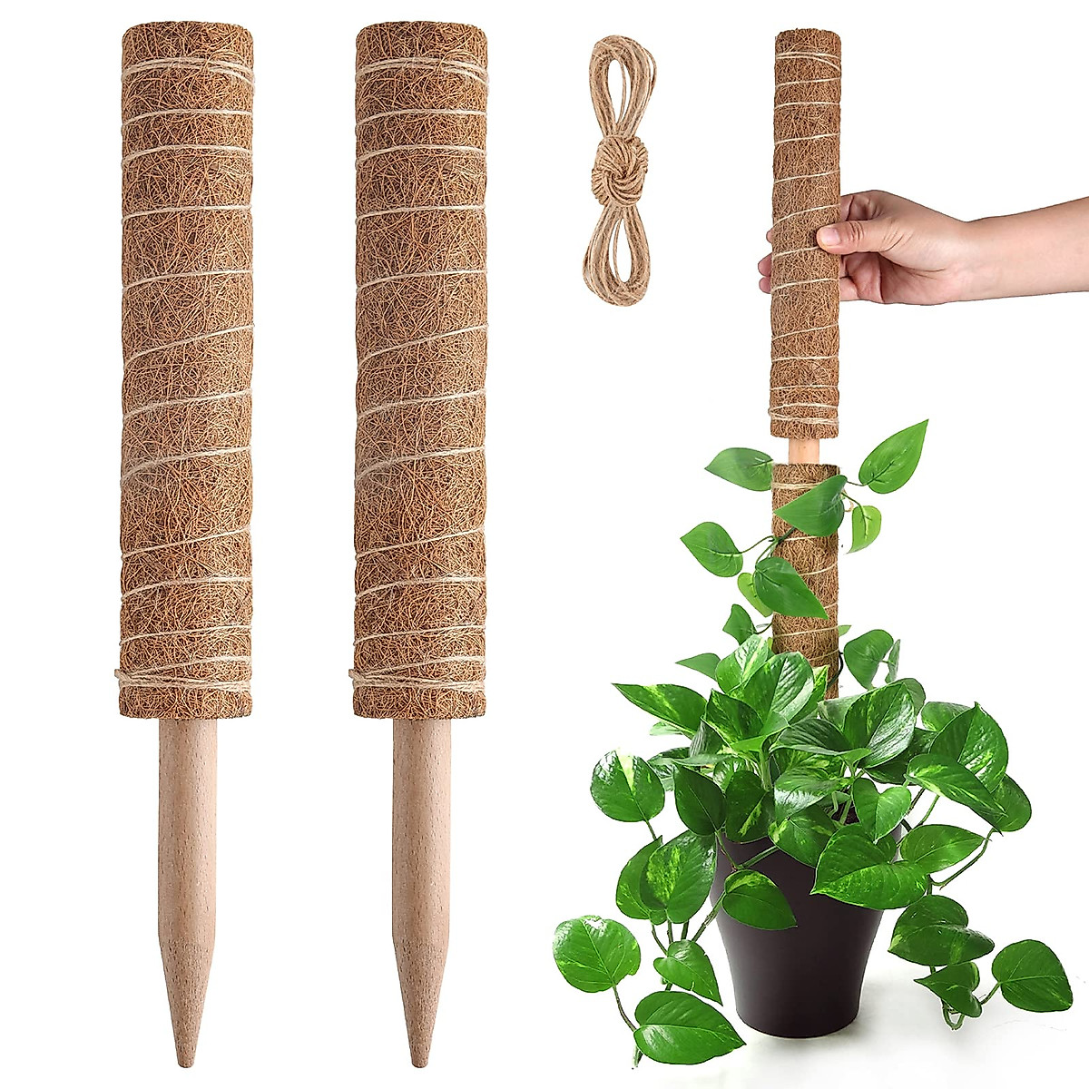 Pisol Moss Pole for Plants Monstera, Extendable Plant Sticks Support, Plant Stakes for Indoor Potted Plant, 15.7'' Coco Coir Pole Plant Trellis for Sphagnum, Pothos and Other Climbing Plants(2 PCS)