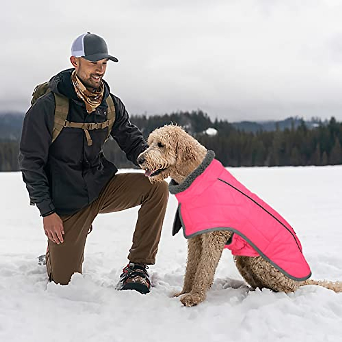 Fragralley Dog Winter Coat Jacket - Reflective Adjustable Windproof Dog Turtleneck Clothes, Doggie Cold Weather Vest, Warm Fleece Lining Puppy Snow Coat for Small Medium Large Dogs (Large, Pink)