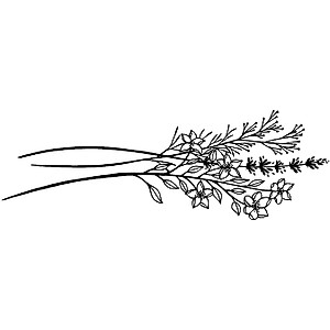 Inkbox Temporary Tattoos, Semi-Permanent Tattoo, One Premium Easy Long Lasting, Water-Resistant Temp Tattoo with For Now Ink - Lasts 1-2 Weeks, Floresco, 5x2in