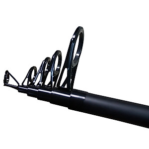 DAIWA Legalis Tele Allround, 11.81ft, Lureweight 1.41-4.23 Ounce, 6 Sections, Telescopic Fishing Rod