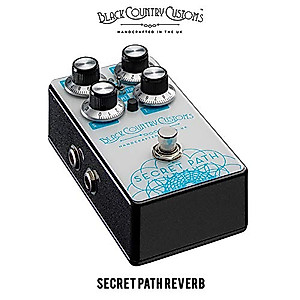 Laney Electric Guitar Single Effect, Black (BCC-Secret Path)