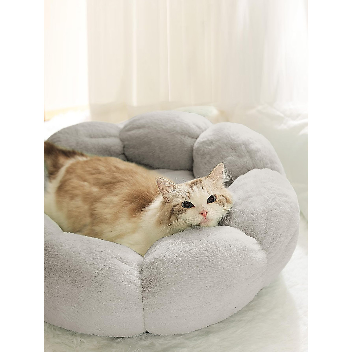 QWINEE Flower Shaped Cat Dog Bed Cat Bed Warm Soft Plush Warm Winter Nest Round Washable Non-Slip Pet Bed for Small Medium Dog Puppy Kitten Kitty Sleeping Grey S