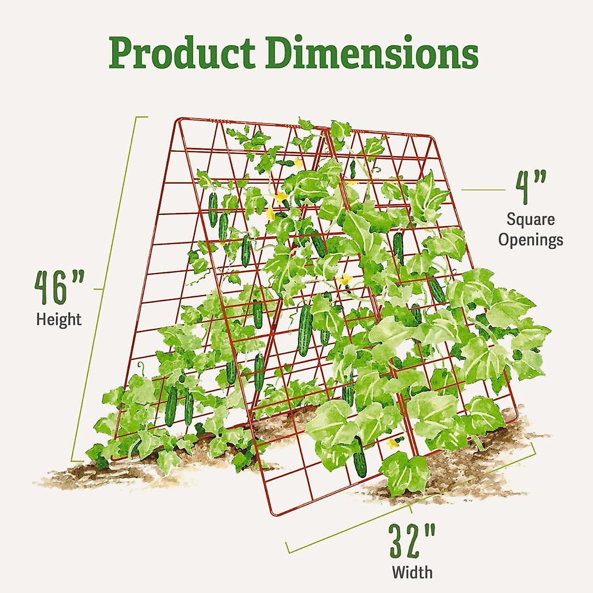 Gardener' s Supply Company Deluxe Cucumber Trellis | Outdoor A-Frame Trellis Plant Support for Vining Vegetables with 4" Grids for Easy Harvesting | 32" W x 46" H - Green