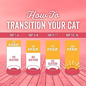 Evolve Classic Deboned Salmon, Rice and Sweet Potato Recipe Cat Food, 2.75lb