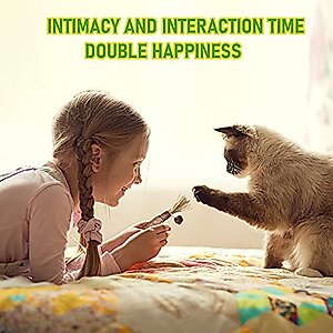 BAWAN Catnip Toys‖ Silvervine for Cats: Cute Cat & Kitten Toys for Indoor Cats Interactive‖ Cat & Kitten Teething Chew Toys for Aggressive Chewers‖ Silvervine Sticks Cat Dental Toy (3PCS)