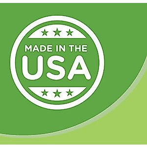 Amazon Basics Everyday Paper Plates, 10 Inch, Disposable, 150 Count