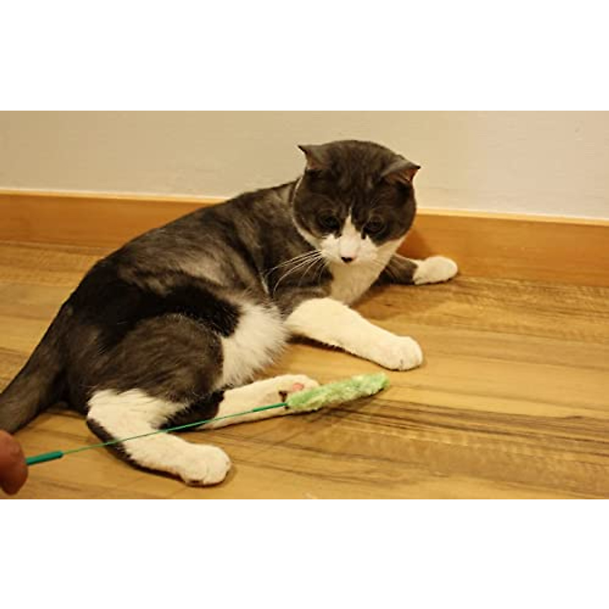 Catty Man Cat Play Grass, Jareneko Setaria 2 pcs. Set. Interactive Cat Teaser Wand Made in Japan