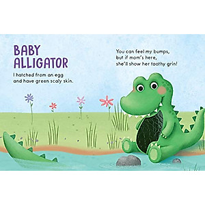 Baby Animals: A Touch and Feel Book - Children's Board Book - Educational