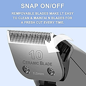 10 Blade Dog Grooming Clipper Replacement Blades Compatible with Andis/Wahl / Oster Dog Clippers,Detachable Ceramic Blade & Stainless Steel Blade,Size-10, 1/16-Inch Cut Length (64315)