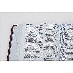 아가페 쉬운 한영성경 NLT (네이비/중/단본/색인/무지퍼) Easy Korean English NLT Bible Navy Middle Size Index Non-Zipper