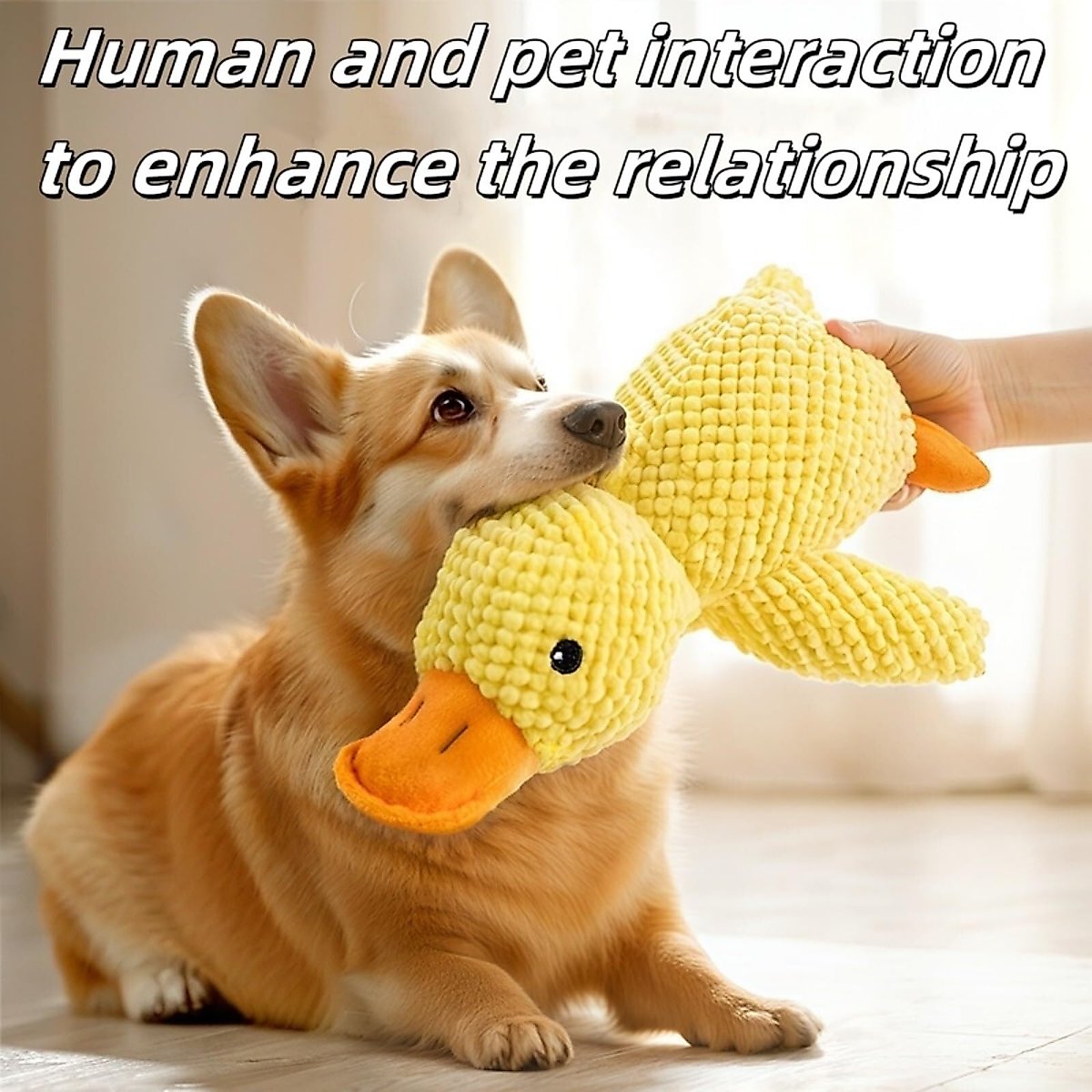 Quaker Calming Duck Toy, Noovelo Calming Duck Toy, Calming Duck Dog Toy, Cute Quacking Stuffed Duck Dog Toy, Calming Duck Toy for Dogs, Calming Duck Toy, Calming Yellow Duck Toy for Dogs