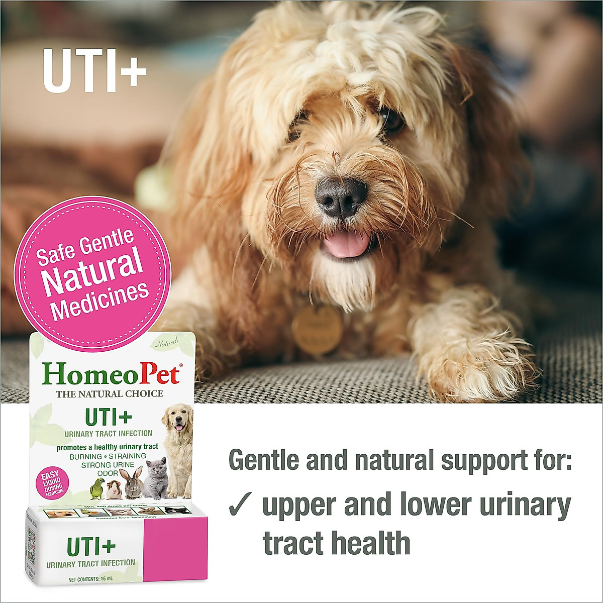 HomeoPet UTI Plus Urinary-Tract Relief, Supportive UTI Medicine for Dogs, Cats, and Other Pets, 15 ml