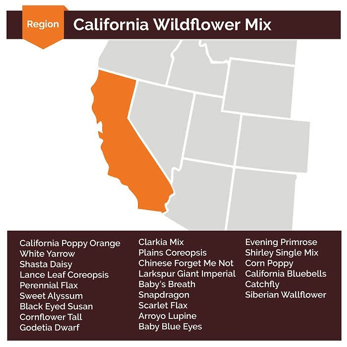 California Wildflower Seed Mix - 1 Pound - Mixed Wildflower Seeds, Attracts Bees, Attracts Butterflies, Attracts Hummingbirds, Attracts Pollinators, Easy to Grow & Maintain, Cut Flower Garden