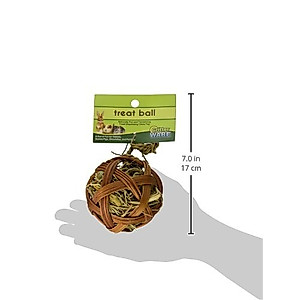 Ware Manufacturing (4 Pack) Willow Edible Small Pet Ball Chew Treat, 4-Inch