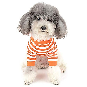Zunea Dog Shirts for Small Dogs Girl Boy Summer Puppy Vest Clothes Soft Cotton Striped Sun Protection Tee Shirt Short Sleeve Pet Dog Chihuahua Apparel Cat Clothing Orange XL