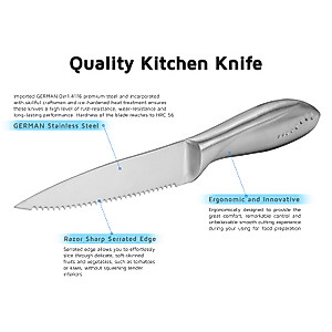 WELLSTAR Utility Knife, 4 Inch Serrated Paring Knife with Super Sharp High Carbon Stainless Steel Blade for Fruit Vegetable Cutting Peeling Slicing – Silver