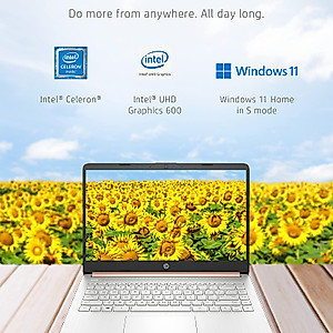 HP Stream 14-inch Laptop for Student and Business - Intel Quad-Core Processor, 16GB RAM, 320GB Storage (64GB eMMC + 256GB Card), 1-Year Office 365, Webcam, 11H Long Battery Life, Wi-Fi, Win11 H in S