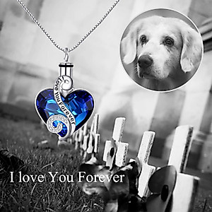 AOBOCO Engraved I Love You Forever Urn Necklace for Ashes Embellished with Crystals from Austria Sterling Silver Ashes Necklace for Women, Fine Keepsake Memorial Cremation Jewelry for Ashes