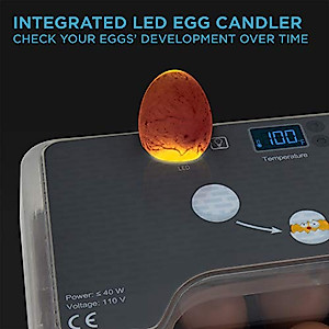 Jumbl Clear Egg Incubator, Fully Automatic Digital Poultry Hatching Machine, Temperature Control & Automatic Egg Turner, LED Candler, Mini 12-35 Egg Incubator Breeder for Chicken, Ducks & More