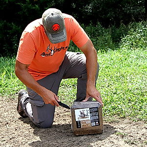 Ani-Logics Outdoors Crush Acorn Block