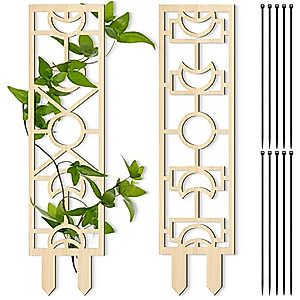 Yalikop 2 Pieces Wooden Small Indoor Trellis Plant Trellis Climbing Plants Hexagon Trellis Potted Plants Trellis Vine Supports Garden Trellises 10 Pieces Black Cable Ties Plant (Moon)