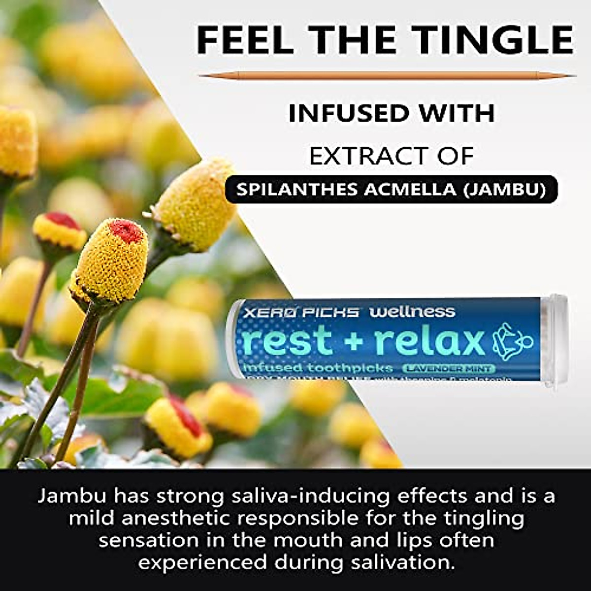 Xero Picks Wellness - Infused Flavored Toothpicks for Long Lasting Fresh Breath & Dry Mouth Prevention - 60 Picks - 3 Pack - Lavender Mint - Rest + Relax