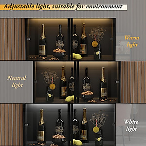 Homsee Bookcase Bookshelf with 5-Tier Shelves, 4 Glass Doors and LED Lights, Wooden Display Storage Cabinet for Home Office, Living Room, Black (31.5”W x 14.2”D x 78.7”H)