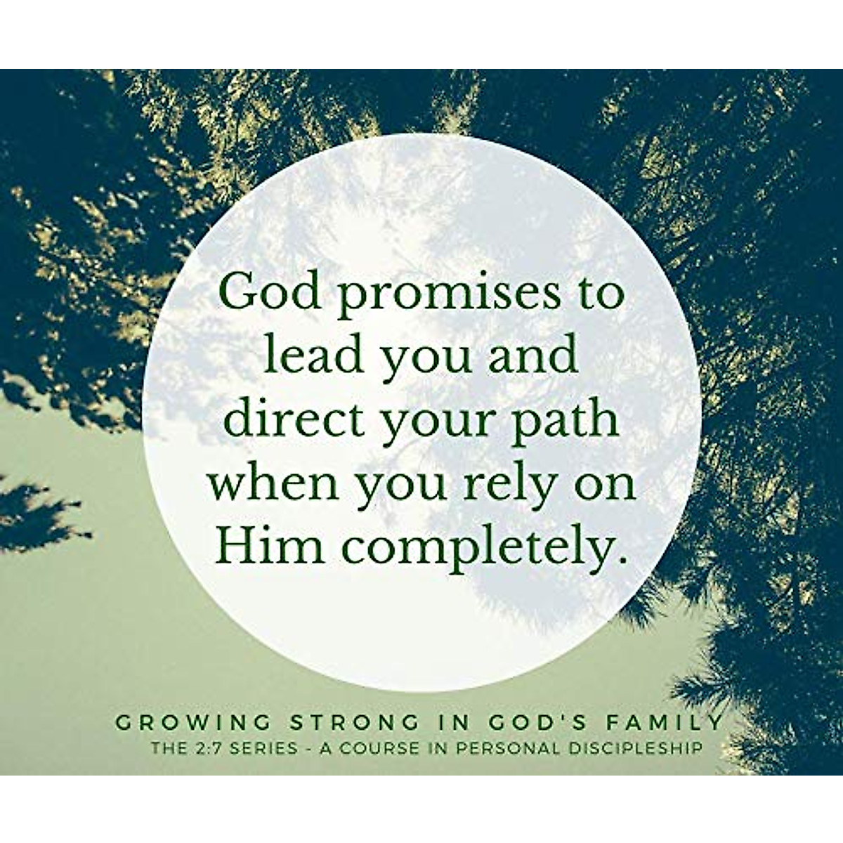 Growing Strong in God's Family: Rooted and Built Up in Him (The 2:7 Series)